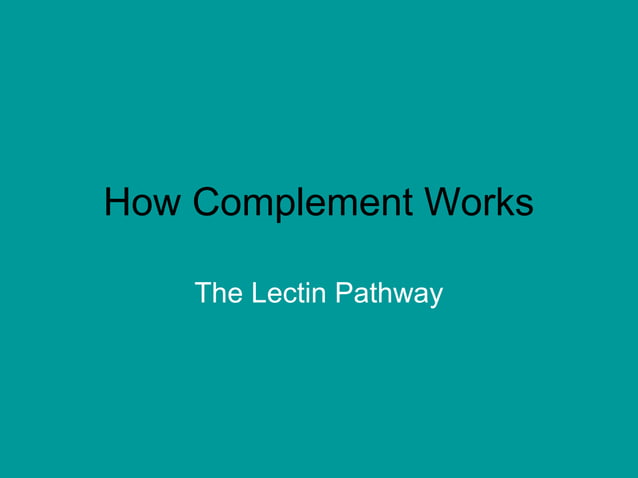 How Complement System Works (Lectin Pathway) | PPT | Blood Disorders ...