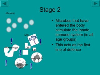 How Complement System Works (Lectin Pathway) | PPT
