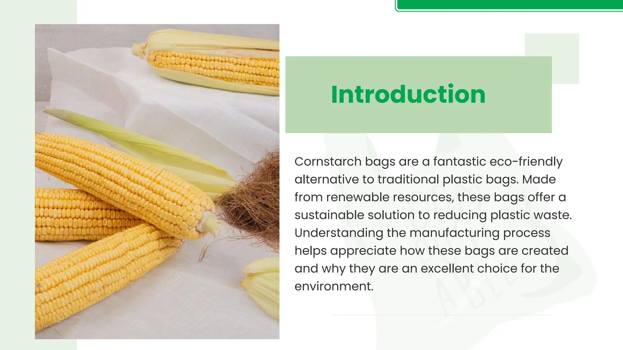How cornstarch is made? A Step-by-Step Guide to Green Packaging.pdf