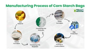 How cornstarch is made? A Step-by-Step Guide to Green Packaging.pdf