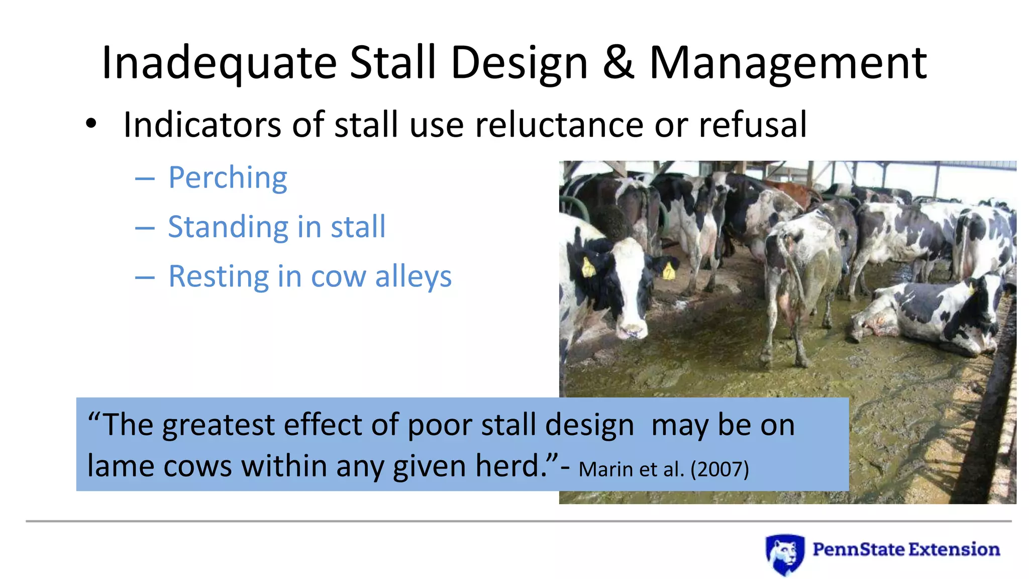 How Dairy Cattle Facilities May Contribute to Lameness | PPTX