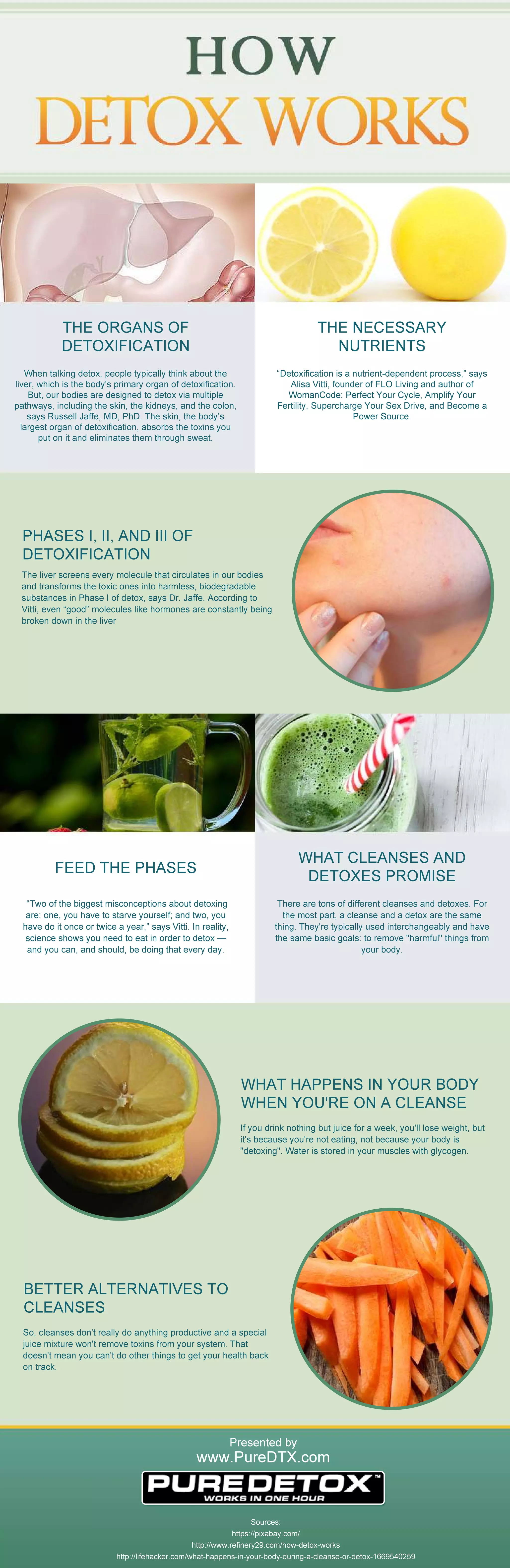 How Detox Works | PDF | Nutrition | Healthy Living