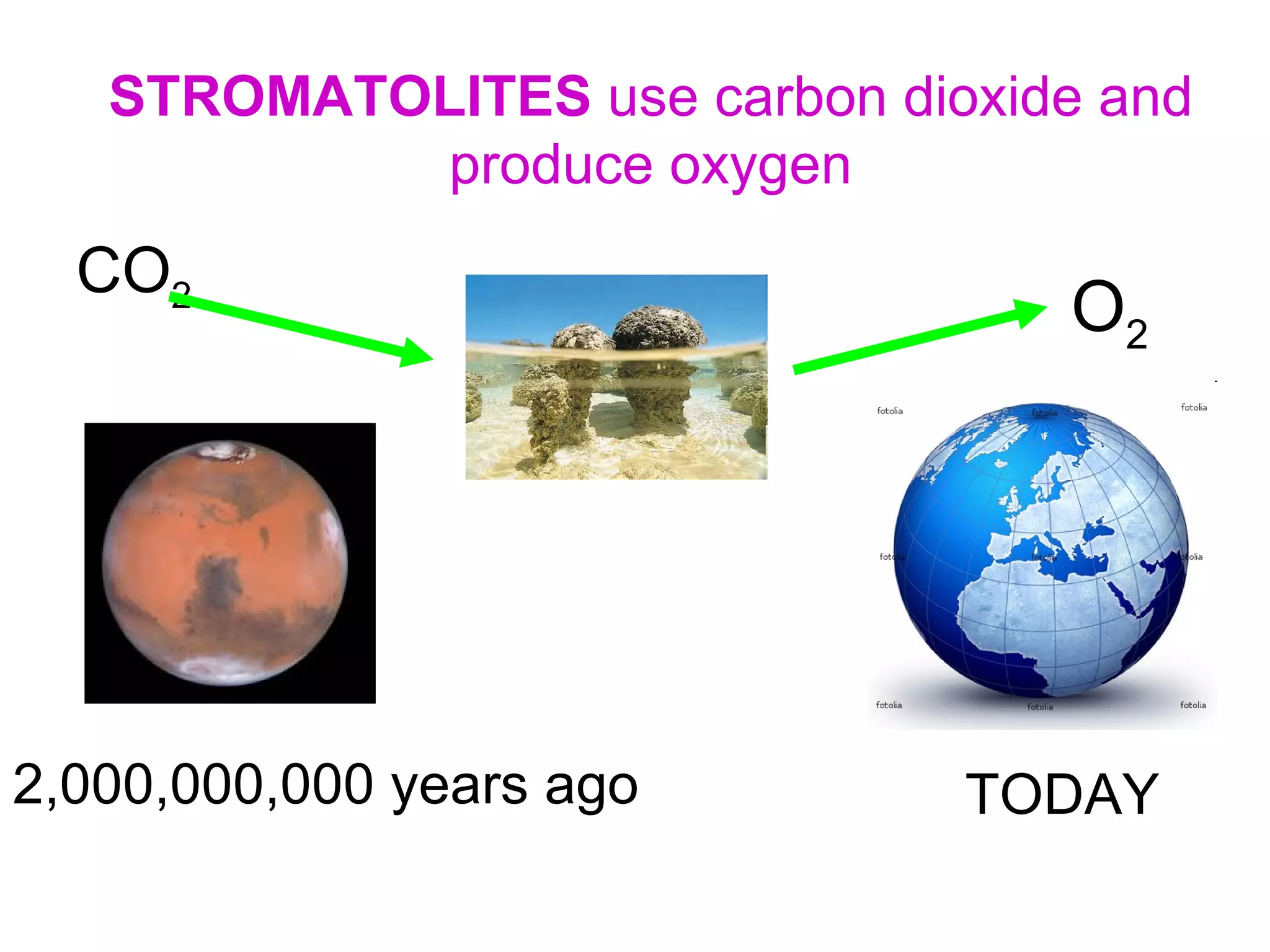 How Did Life Begin | PPT