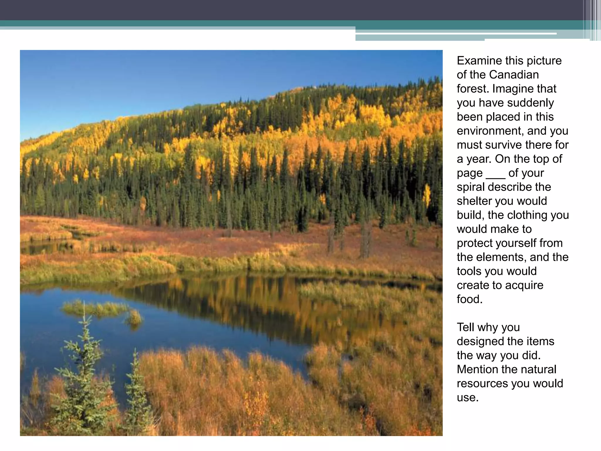 How Did The Native Americans Adapt To Their | PPTX