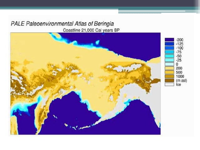 How Did The Native Americans Adapt To Their | PPTX