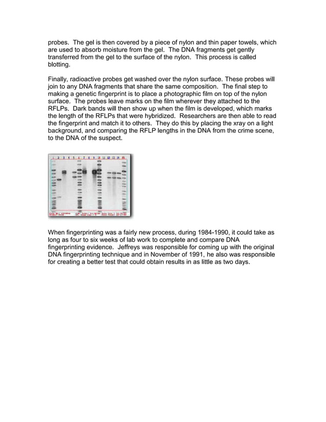 How dna fingerprinting works | DOC