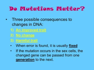 How DNA Works Notes | PPTX
