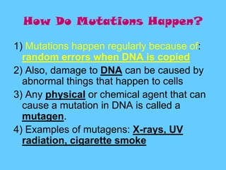 How DNA Works Notes | PPTX