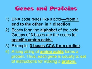 How DNA Works Notes | PPTX