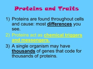 How DNA Works Notes | PPTX