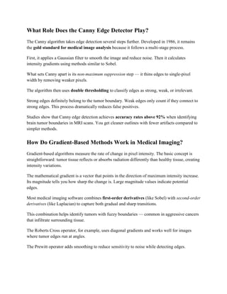 How Do Algorithms Detect Tumor Edges.pdf