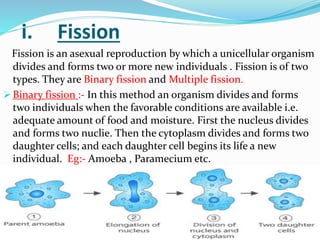 How do all organism reproduce | PPTX