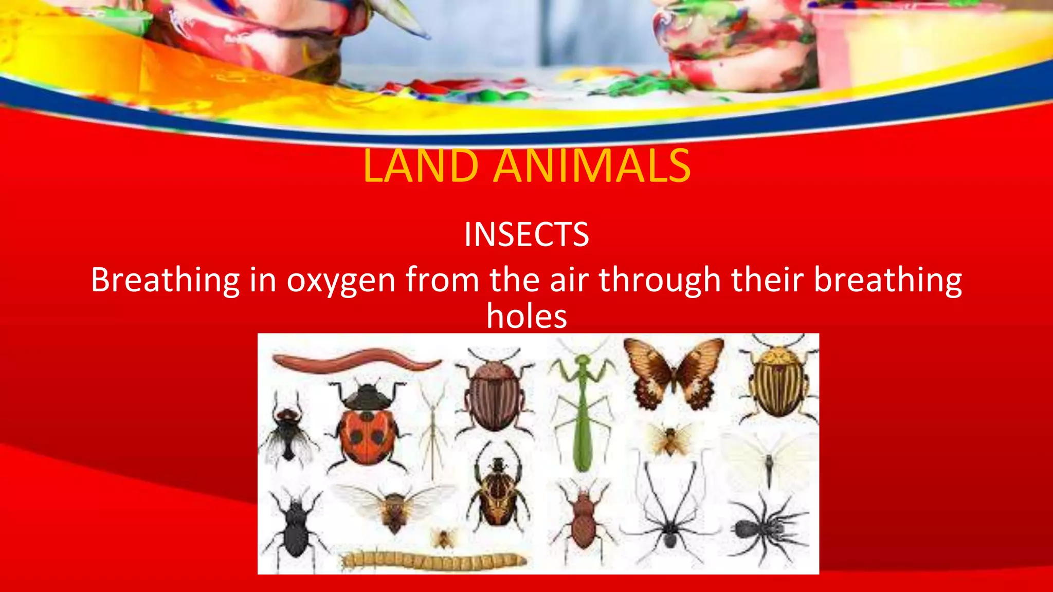 HOW DO ANIMALS BREATH_ P5.pptx