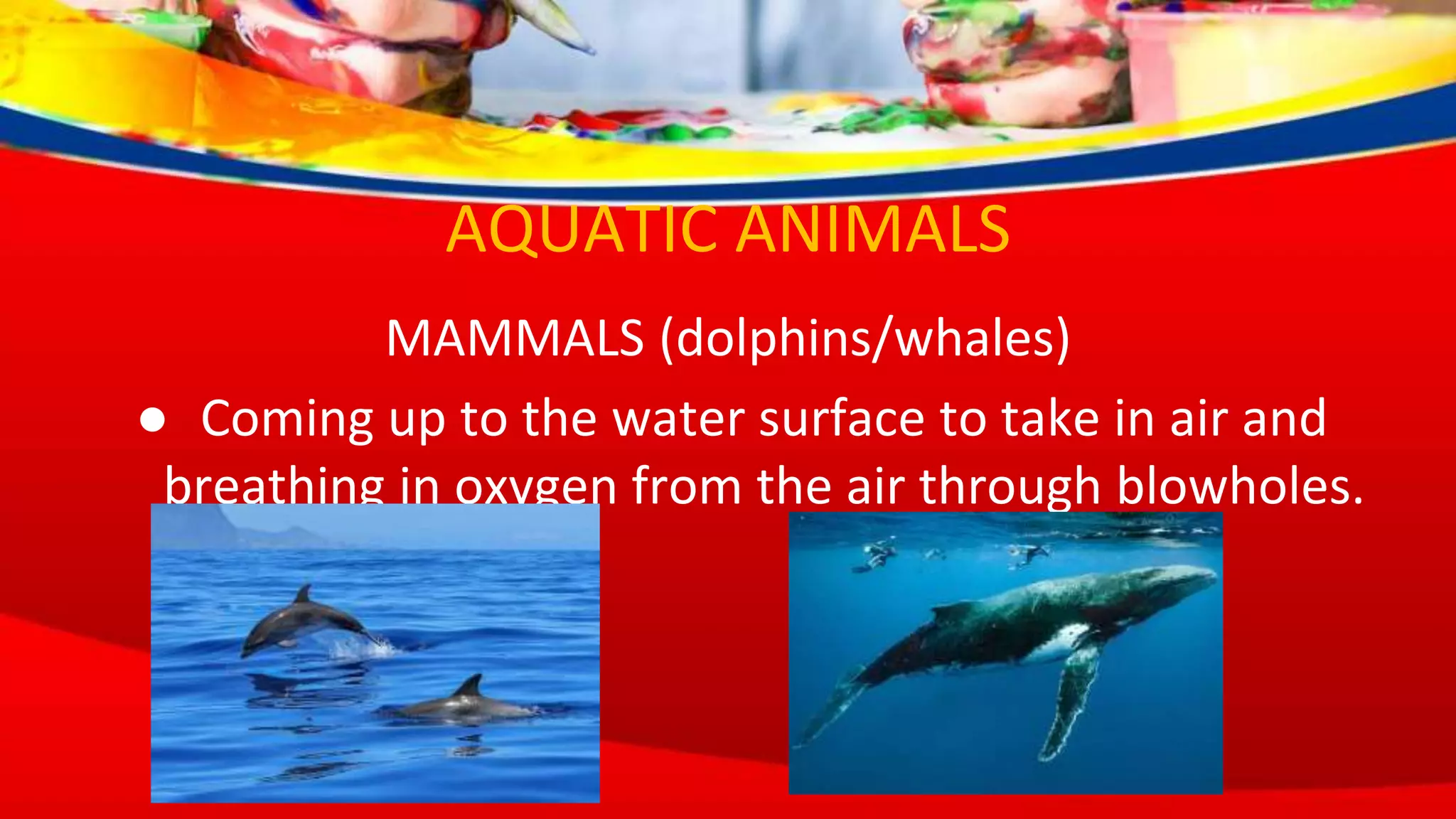 HOW DO ANIMALS BREATH_ P5.pptx