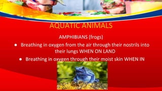 HOW DO ANIMALS BREATH_ P5.pptx | Lung and Respiratory Health | Diseases ...