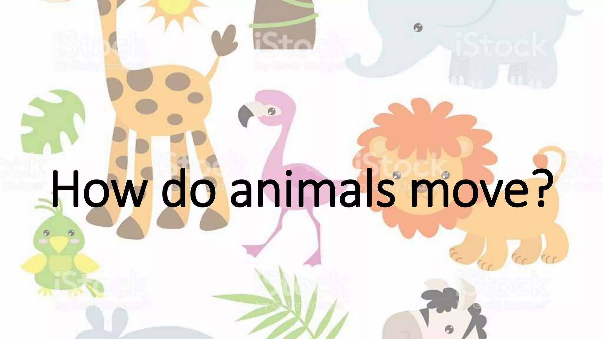 How do animals move | PPTX