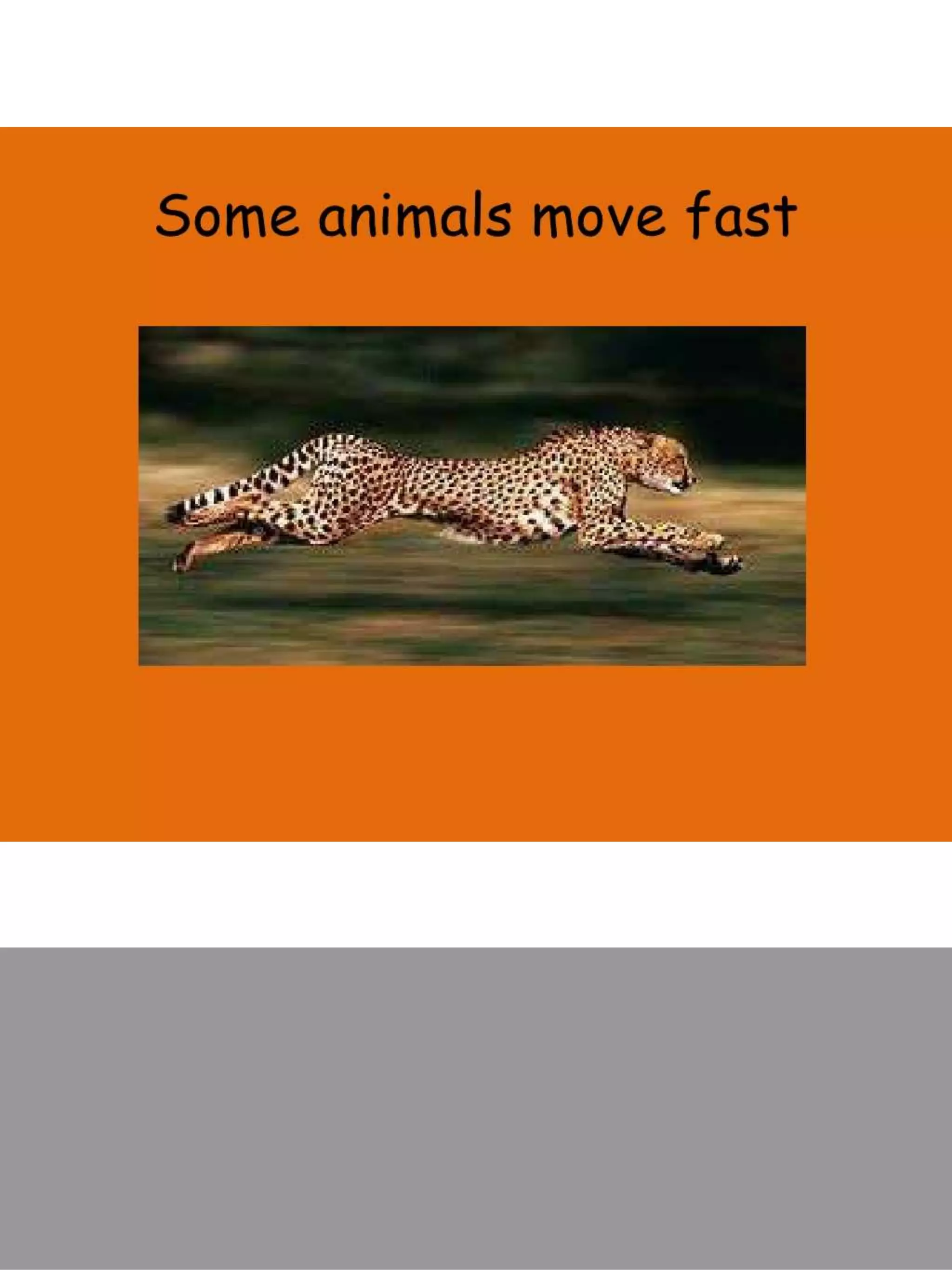 How do animals move | PPTX