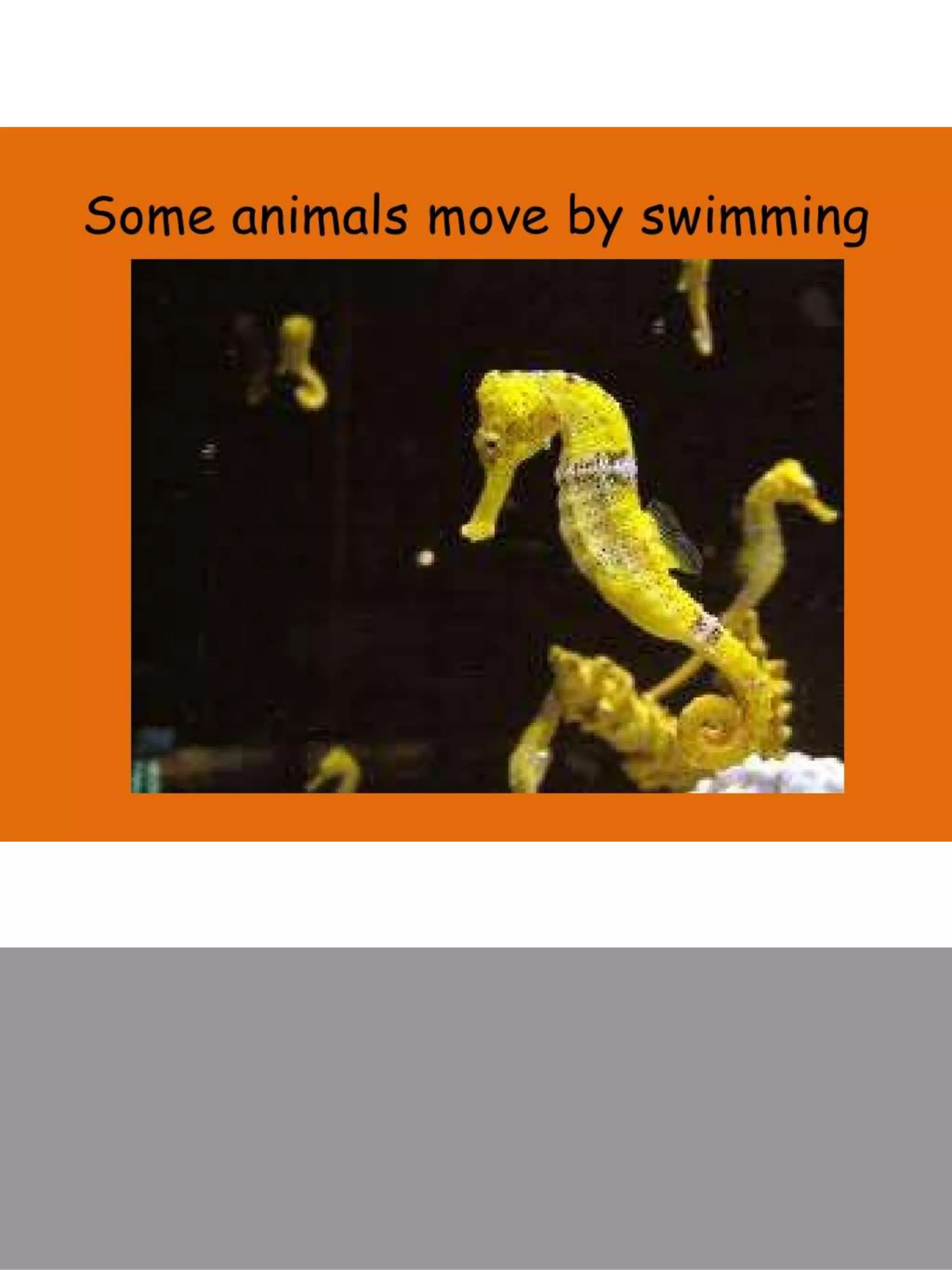 How do animals move | PPTX