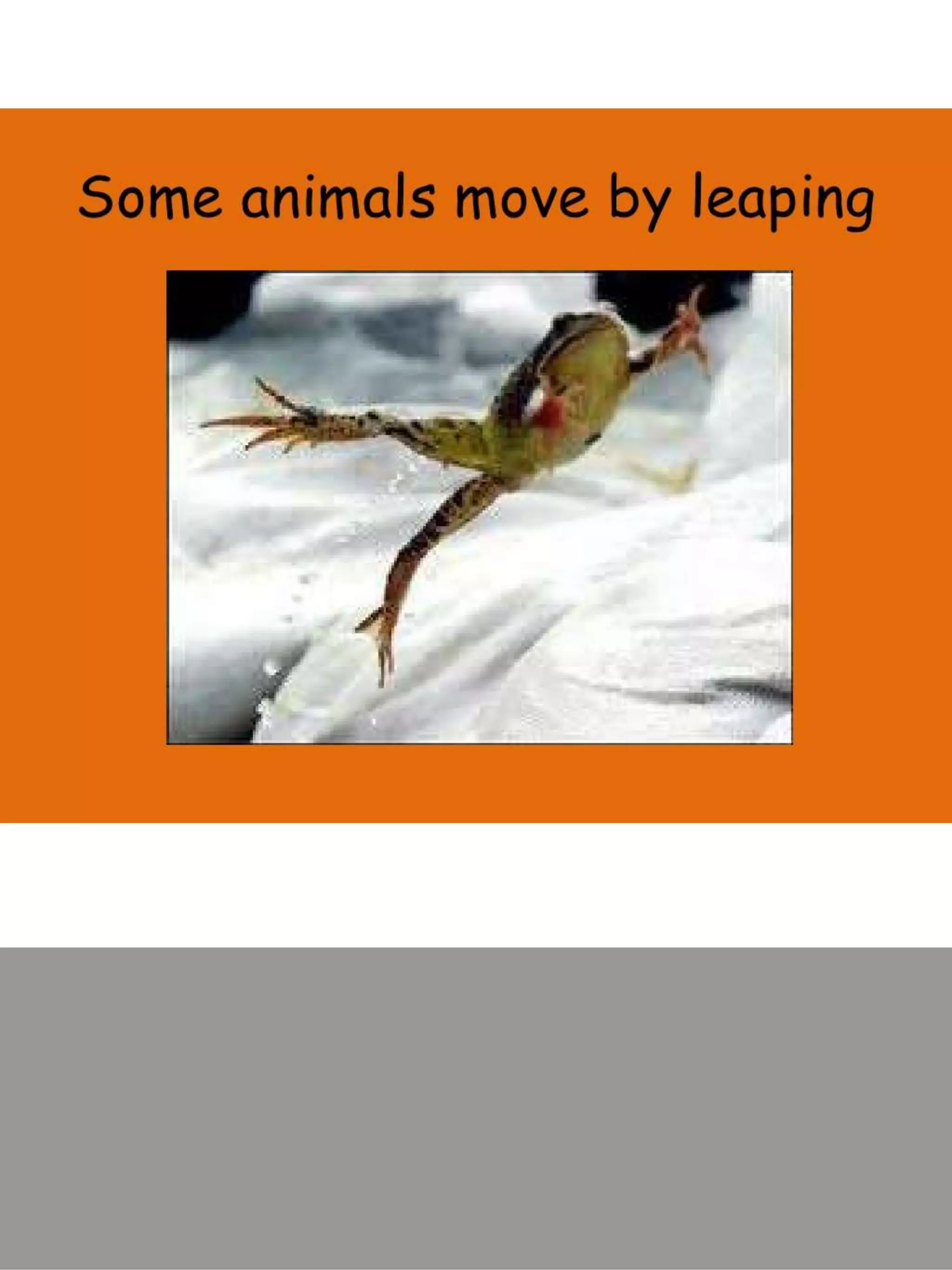 How do animals move | PPTX