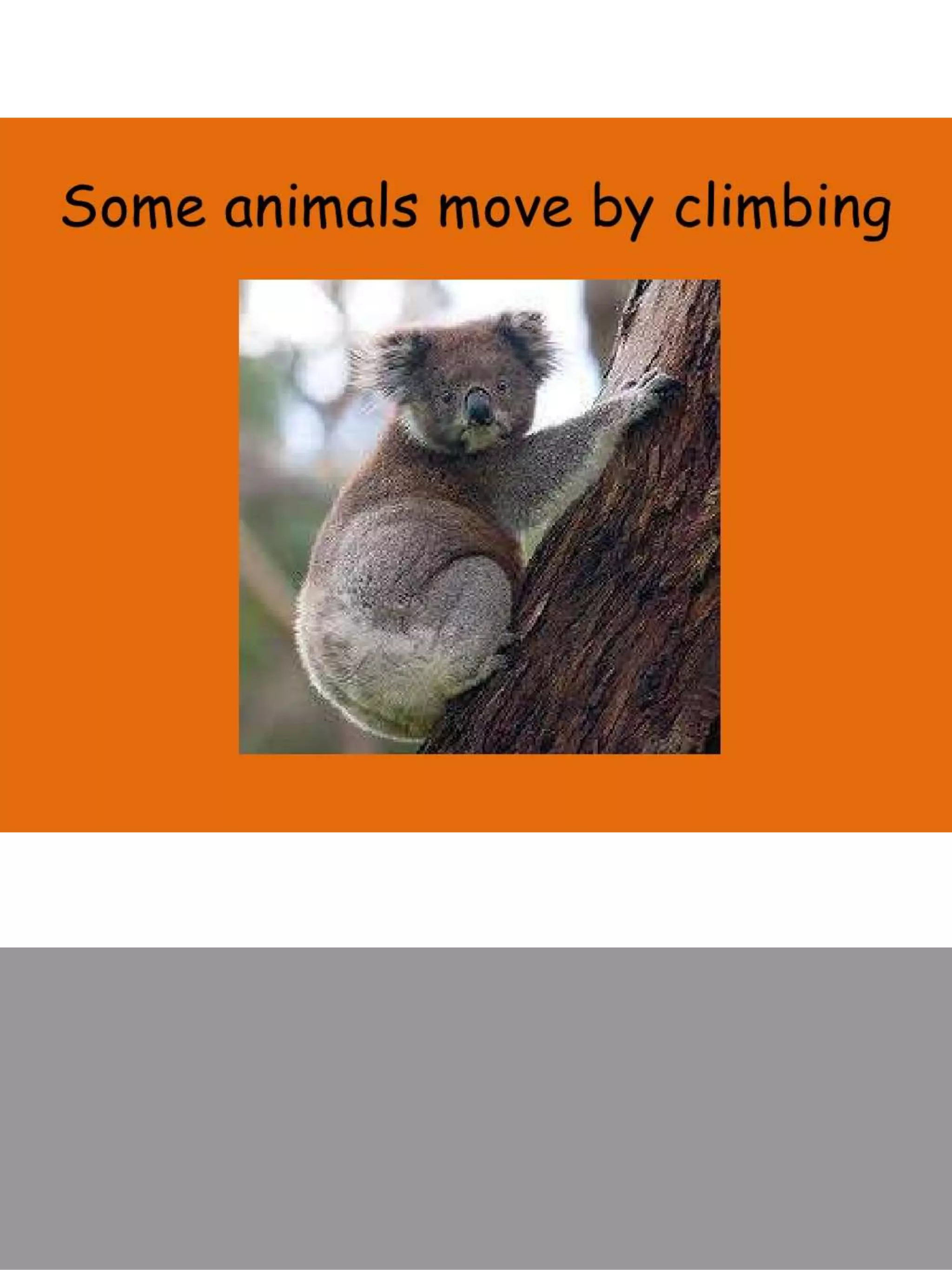 How do animals move | PPTX