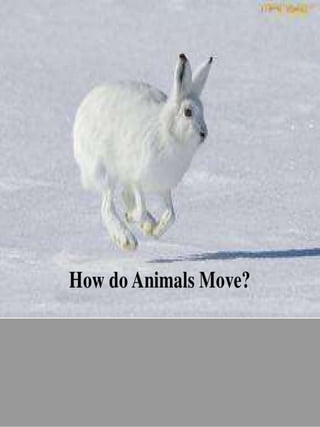 How do animals move | PPTX
