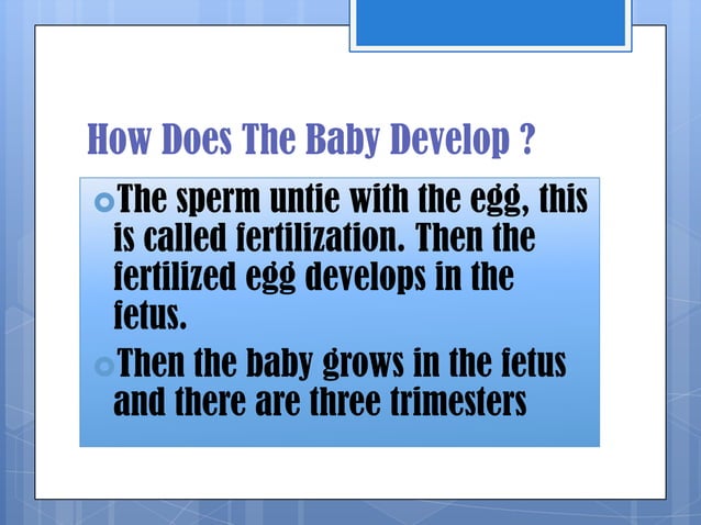 How do babies develop in the fetus | PPT