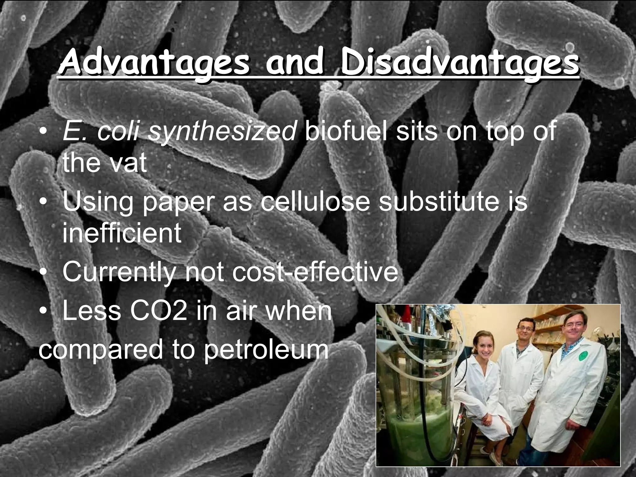 How do bacterium make biofuels | PPT