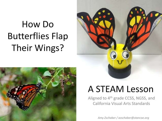 How do butterflies flap their wings presentation | PPT