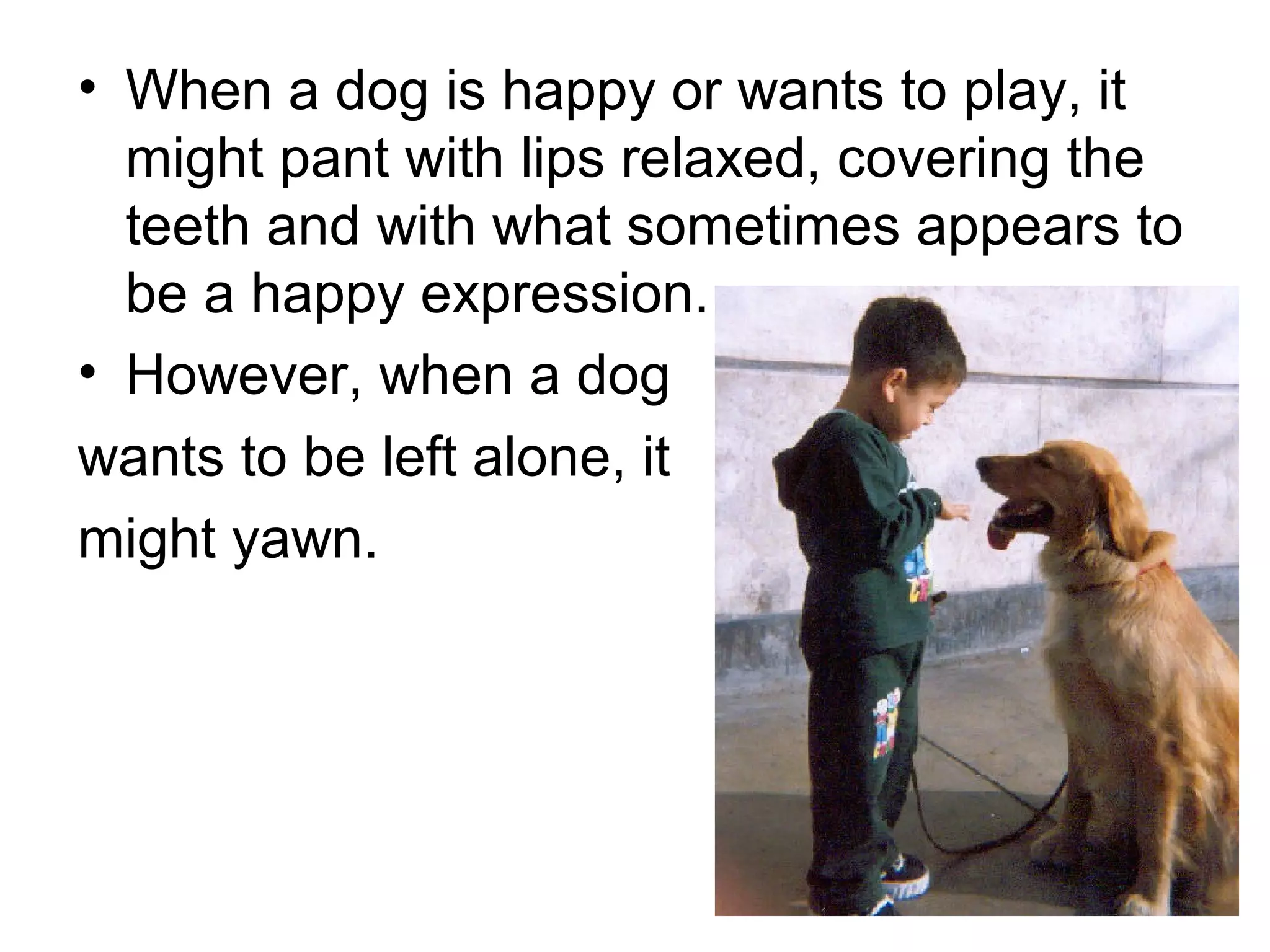 How do dogs communicate | PPT