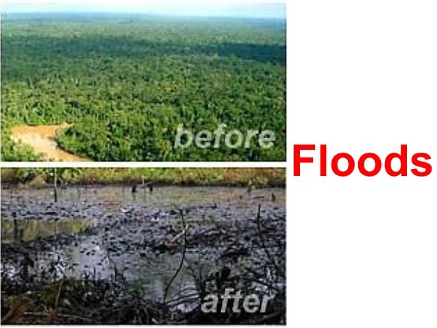 How do ecosystems change