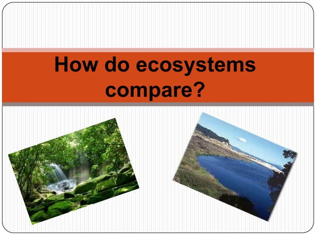 How do ecosystems compare | PPT