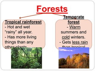 How do ecosystems compare | PPTX