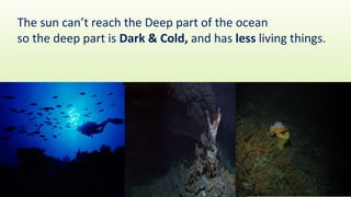 "How do ecosystems compare?" | PPTX