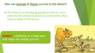"How do ecosystems compare?" | PPT