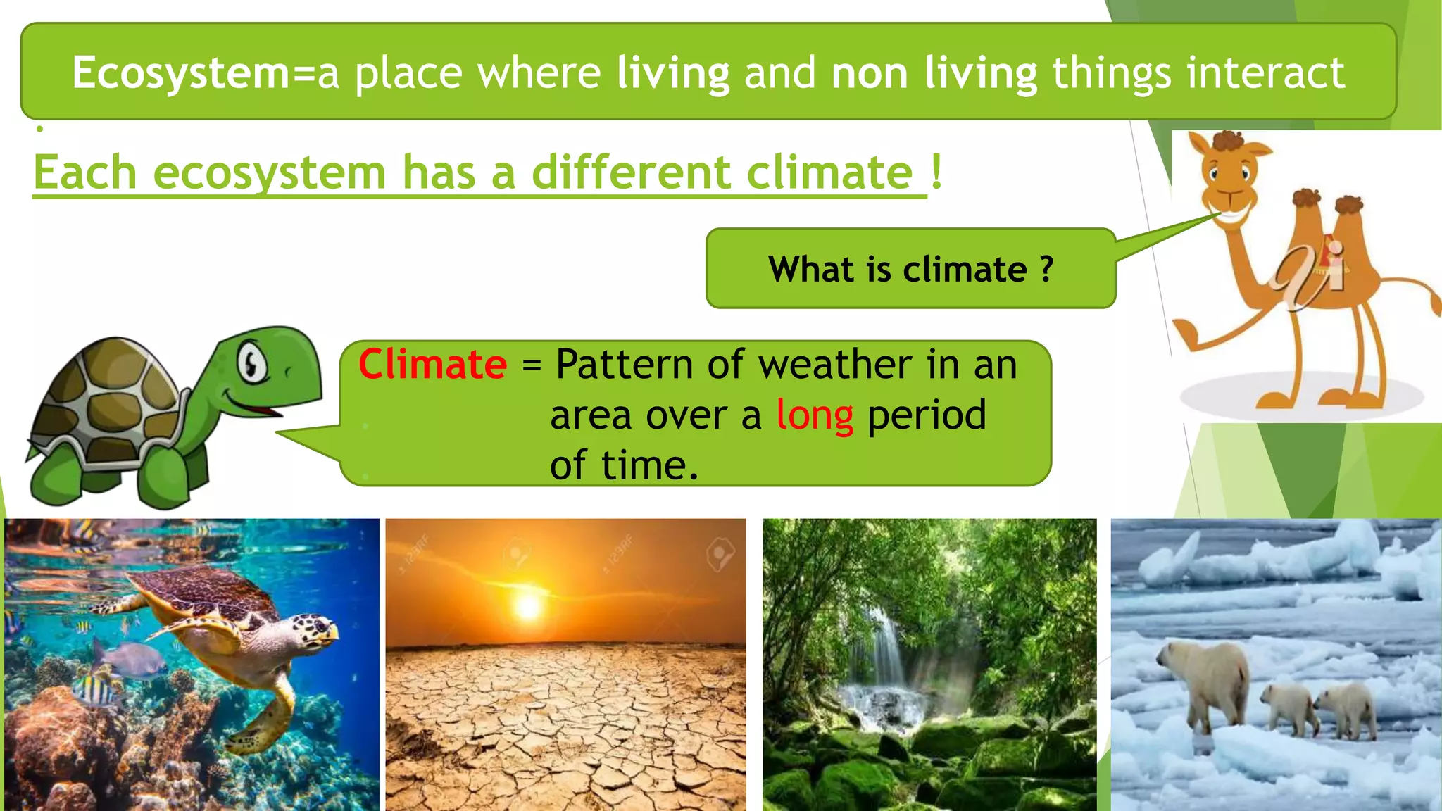 How do ecosystems compare FINAL | PPT