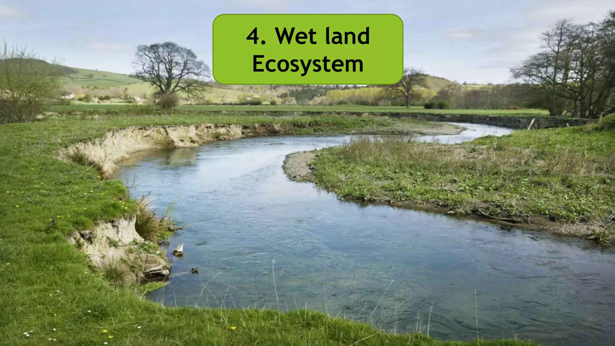 How do ecosystems compare FINAL | PPTX