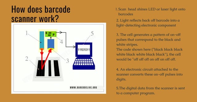 How Does A Barcode Scanner Work Pdf