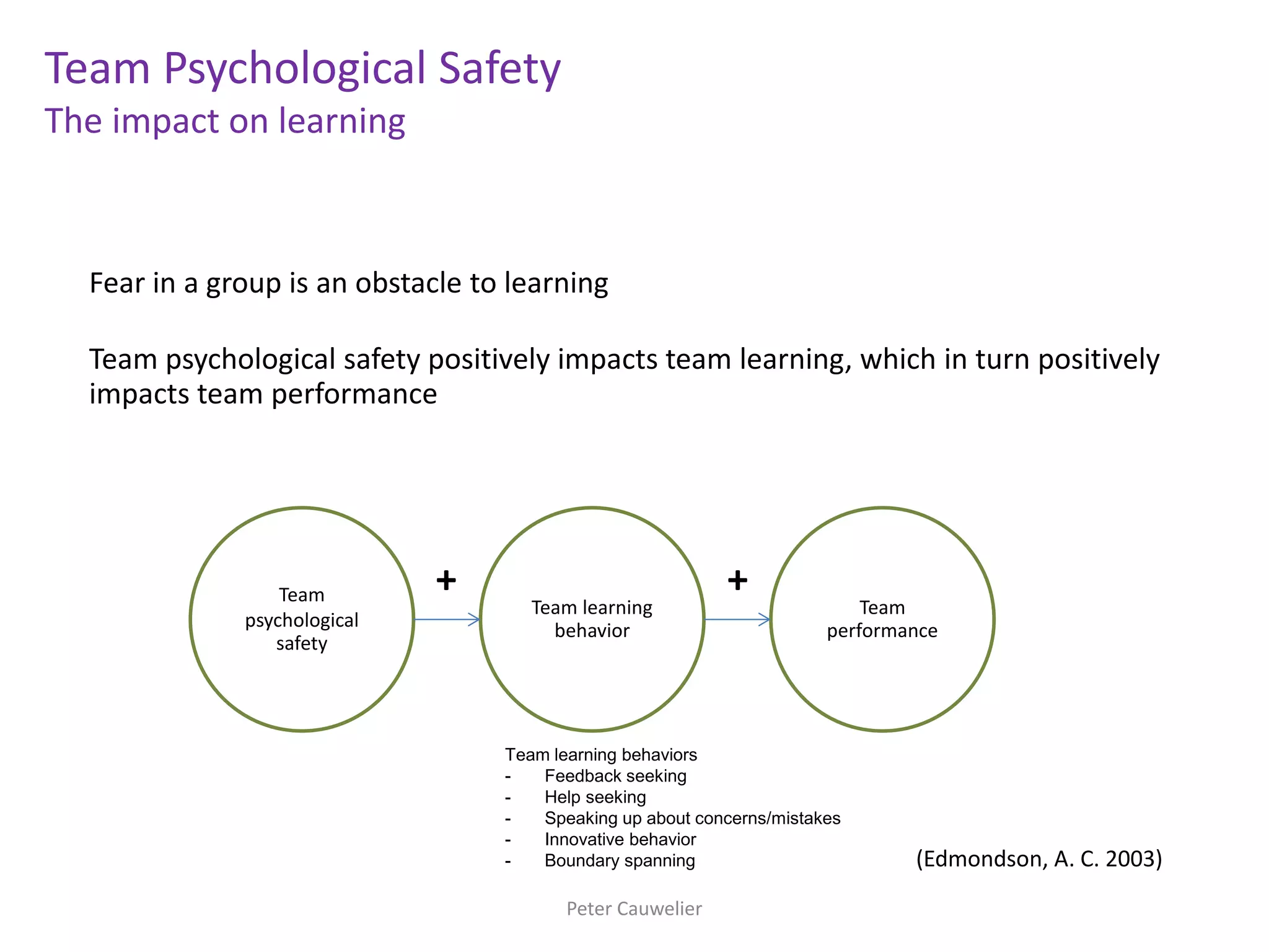 How does action learning impact team psychological safety | PDF