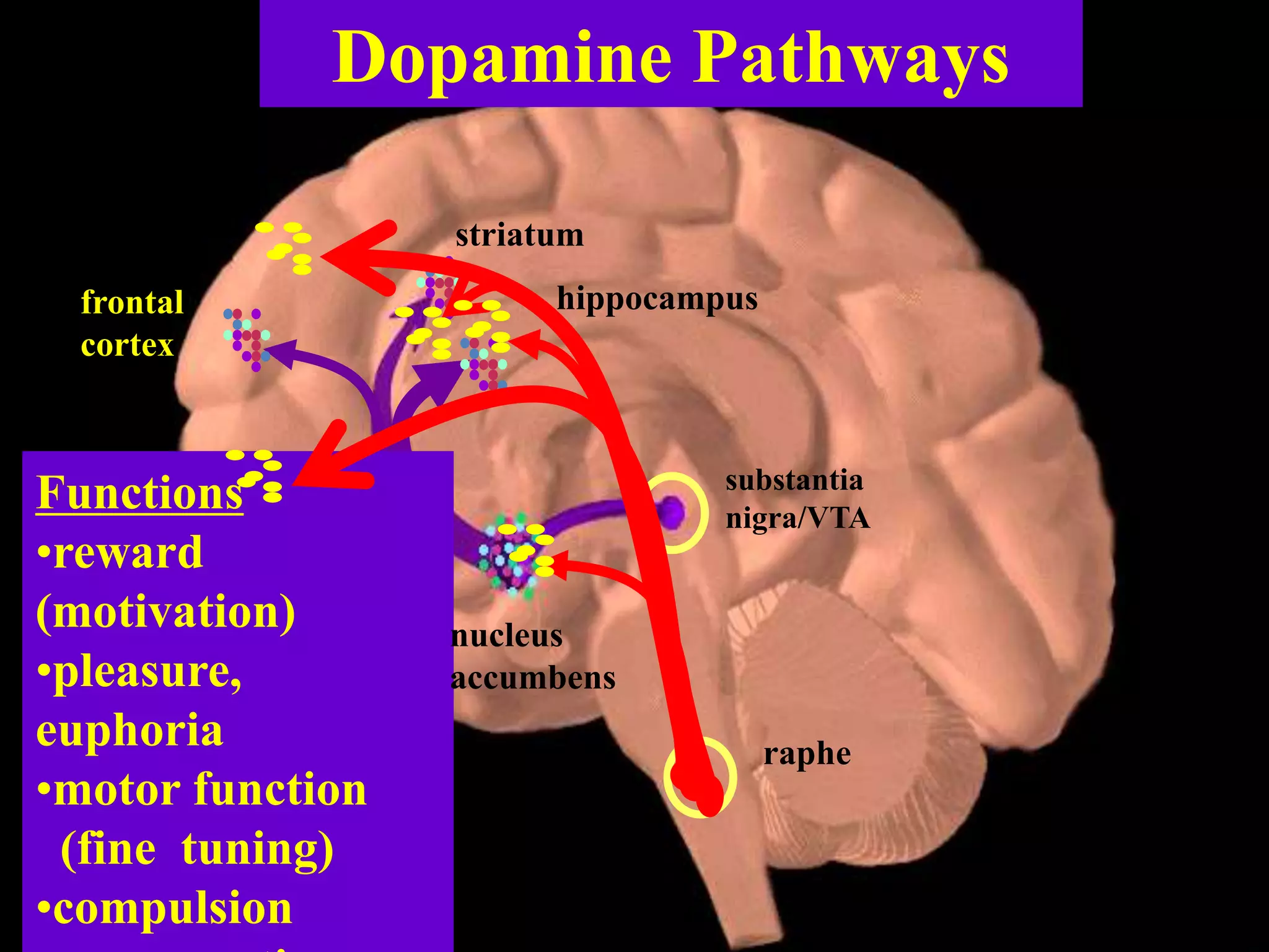 How does addiction occur. | PPT