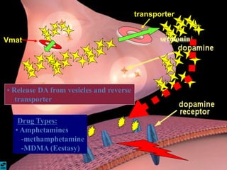 How does addiction occur. | PPT