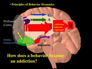 How does addiction occur. | PPT