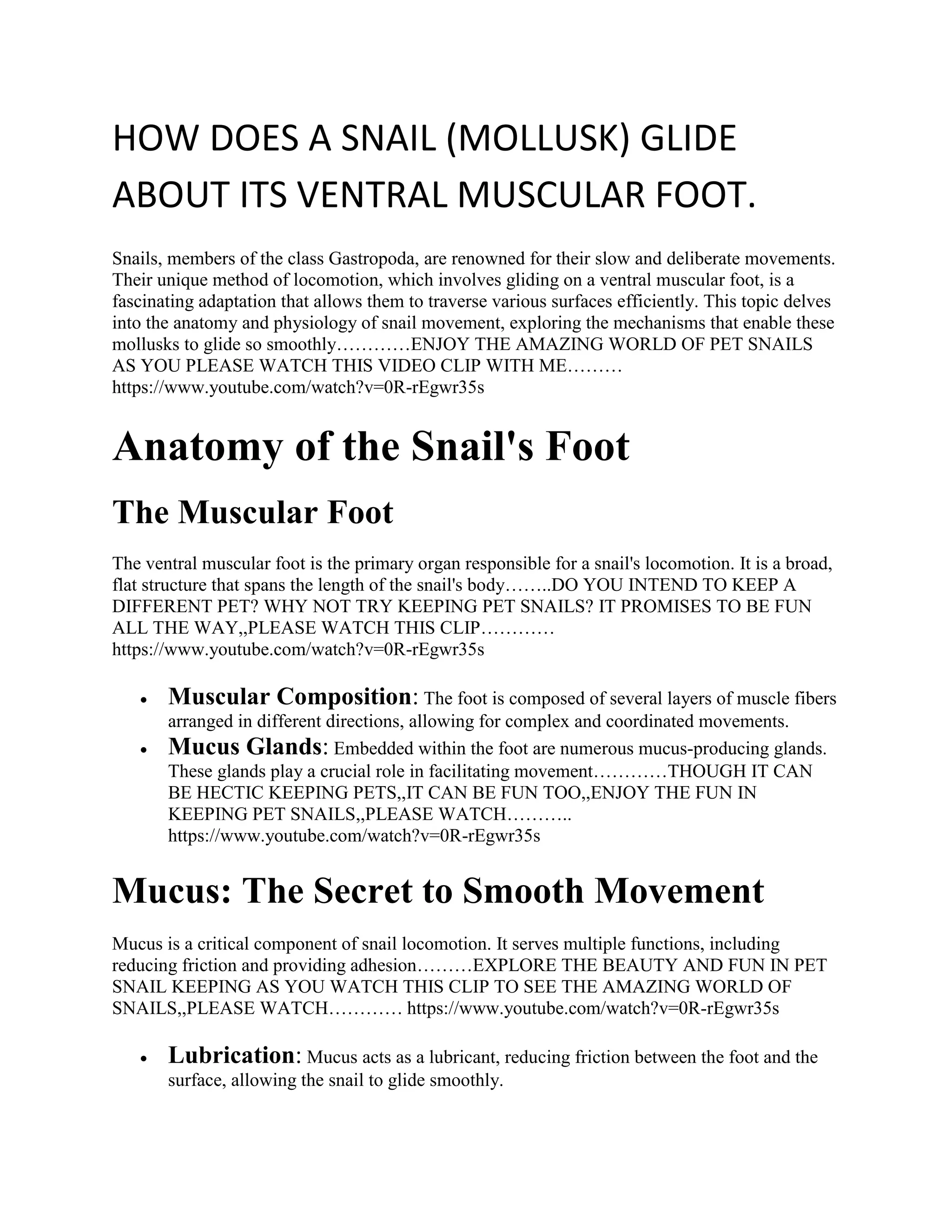 HOW DOES A SNAIL(MOLLUSK) GLIDE ABOUT ITS CENTRAL MUSCULAR FOOT..docx
