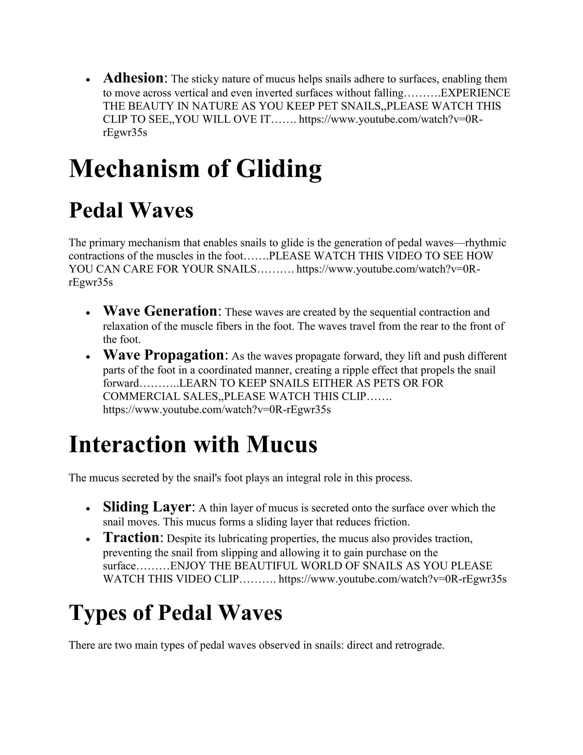HOW DOES A SNAIL(MOLLUSK) GLIDE ABOUT ITS CENTRAL MUSCULAR FOOT..docx