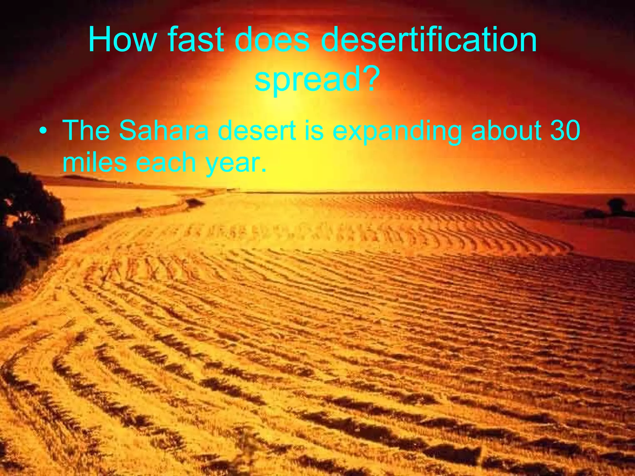 How Does Desertification Effect Africa | PPT
