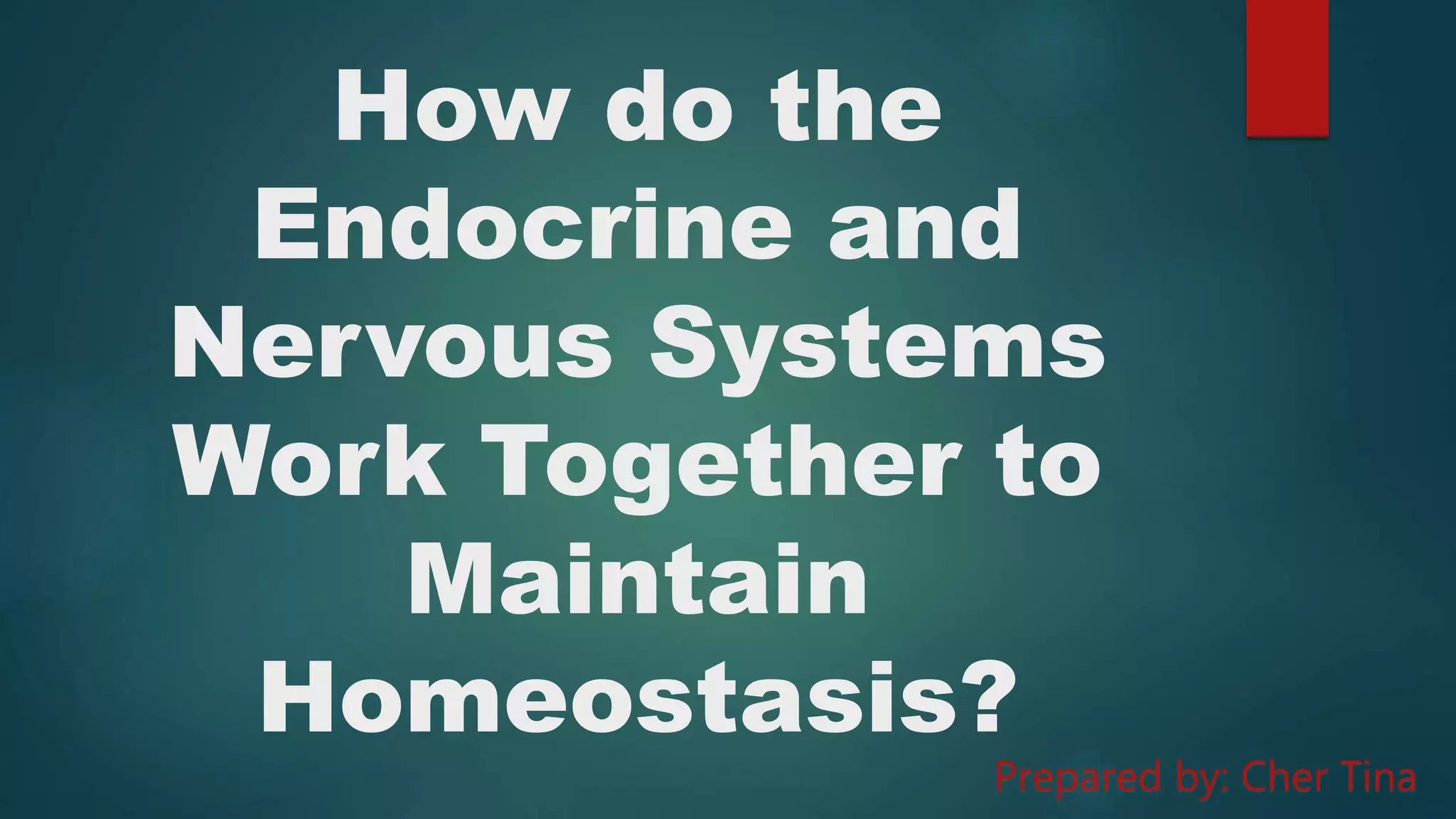 How does endocrine and nervous system works together in maintaining homeostasis | PPTX