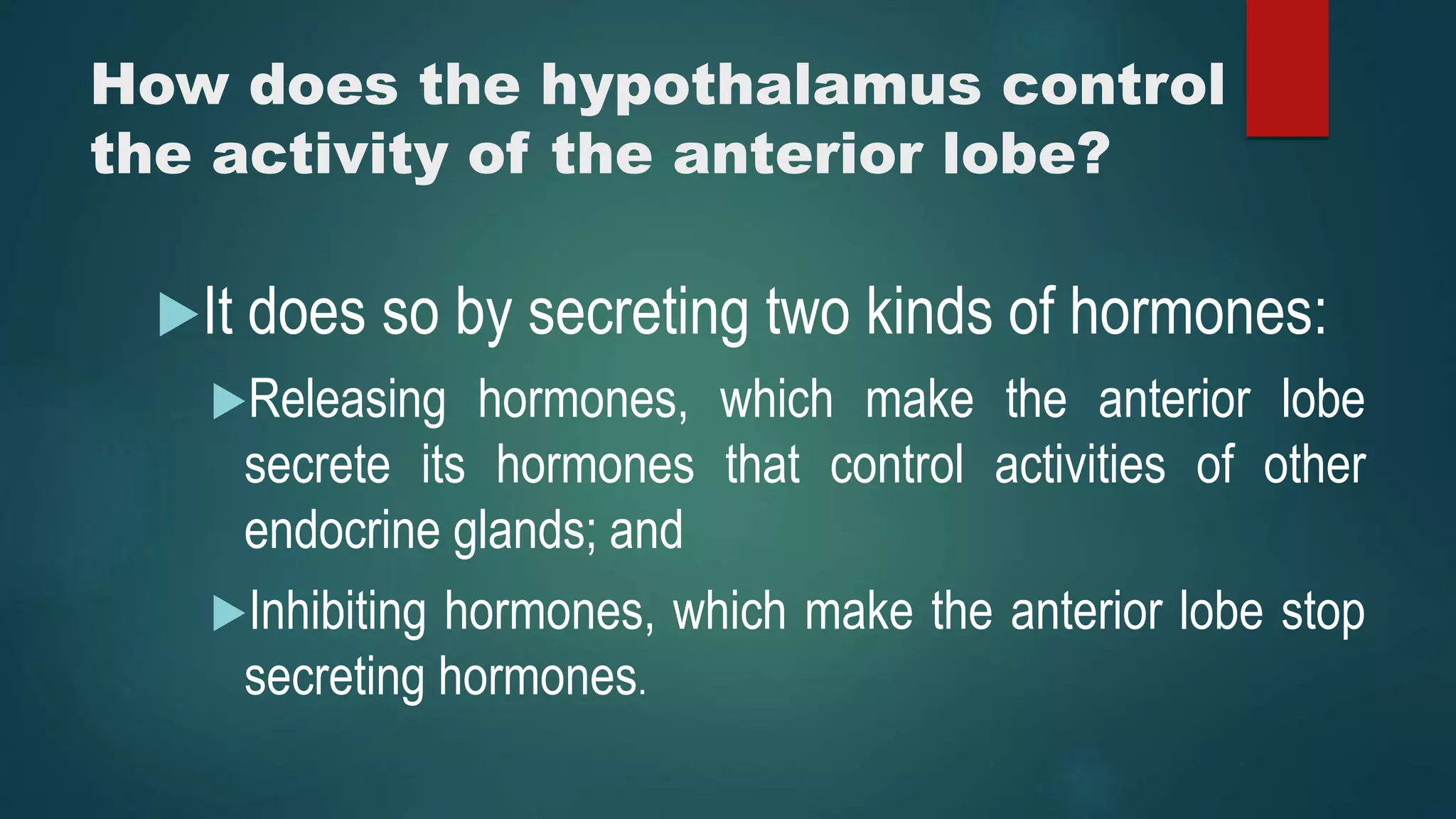 How does endocrine and nervous system works together in maintaining ...