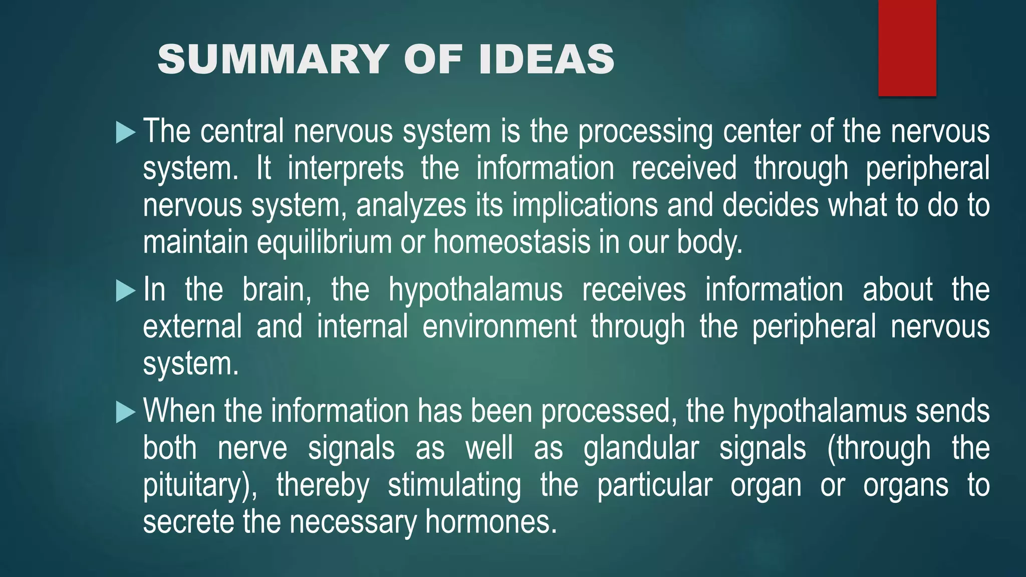 How does endocrine and nervous system works together in maintaining ...