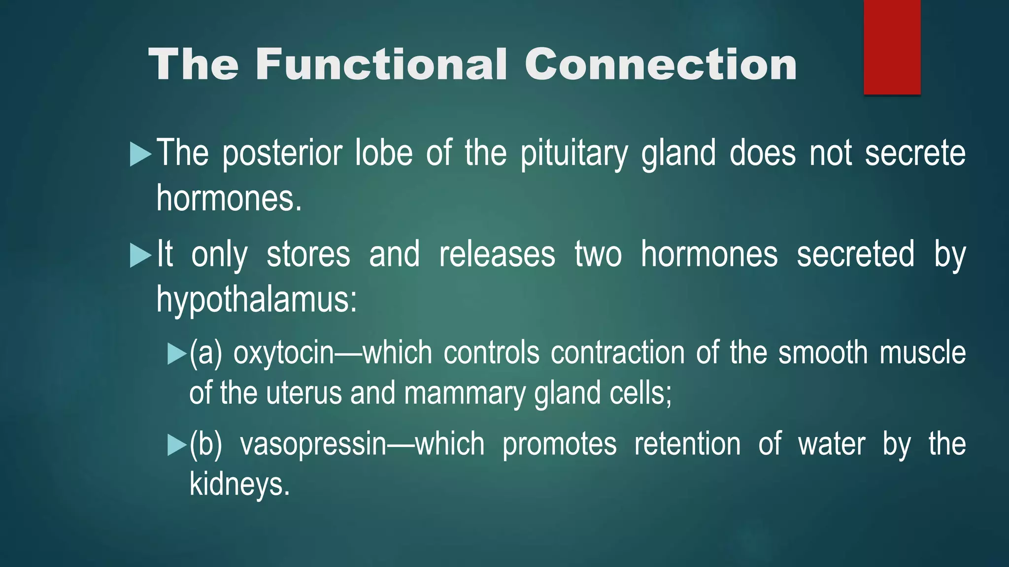 How does endocrine and nervous system works together in maintaining ...