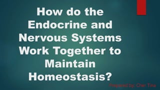 How does endocrine and nervous system works together in maintaining homeostasis | PPTX