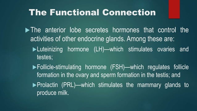 How does endocrine and nervous system works together in maintaining ...